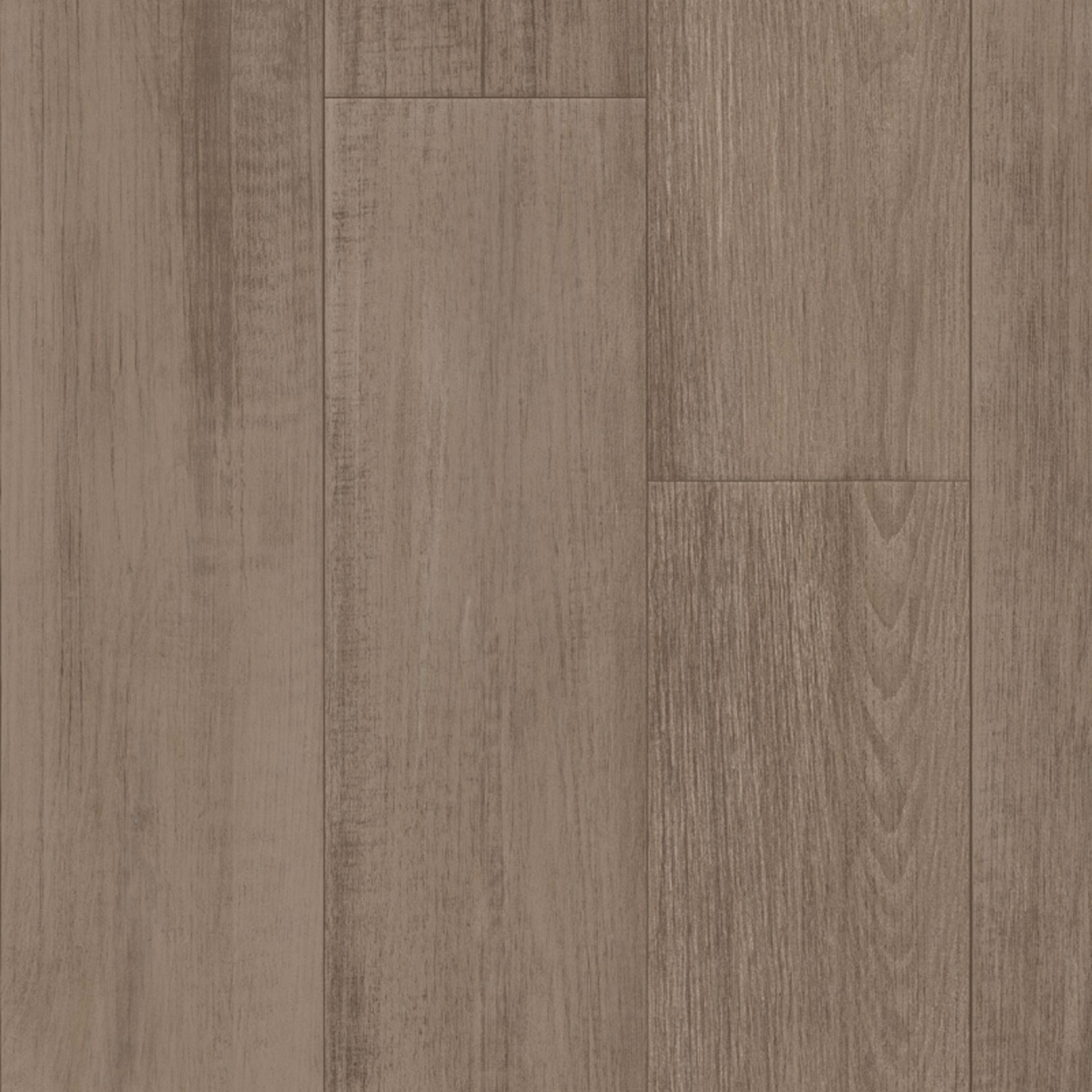 First Class in Falcon Vinyl Sheet Goods – DesignCo