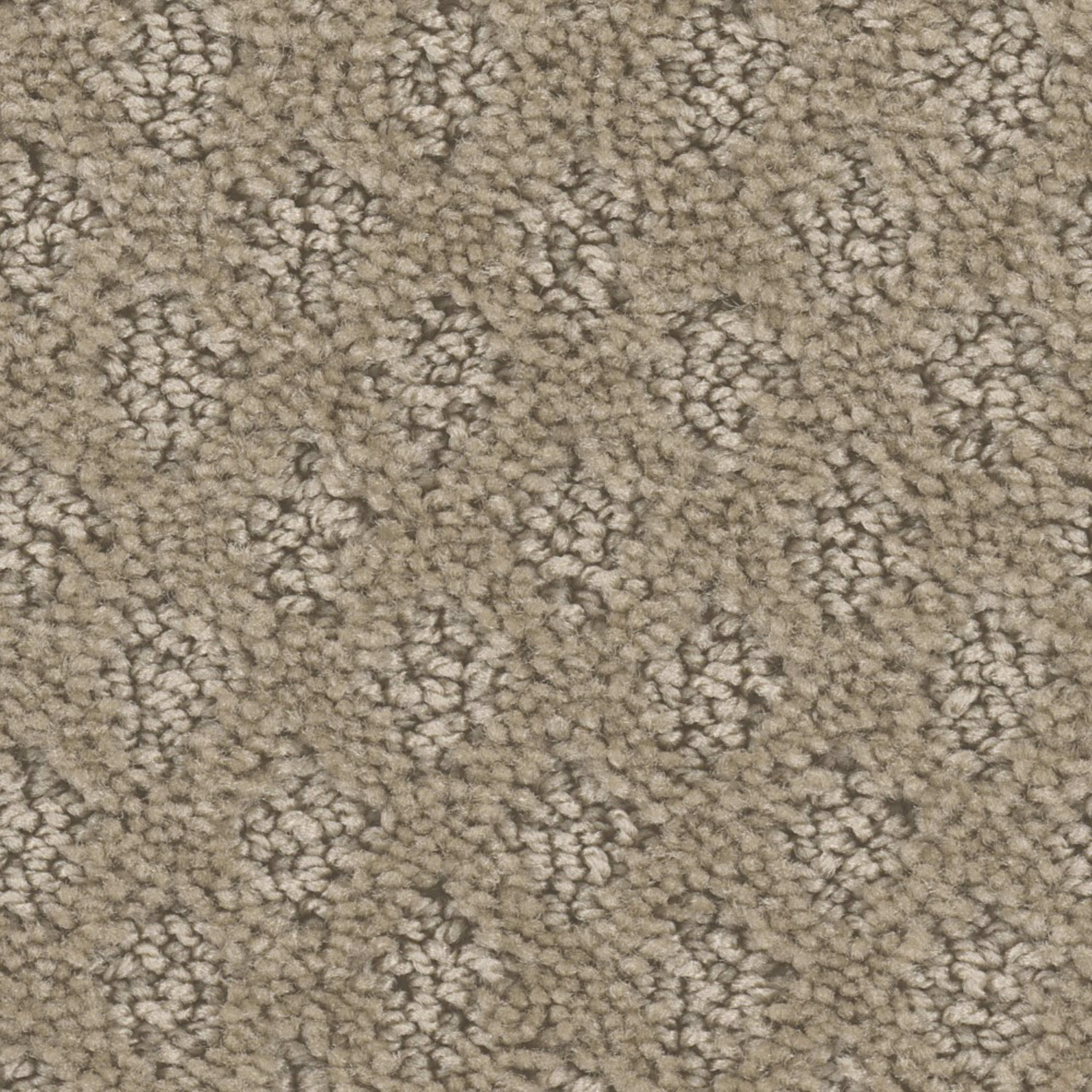Harding Park in Parchment Carpet – DesignCo