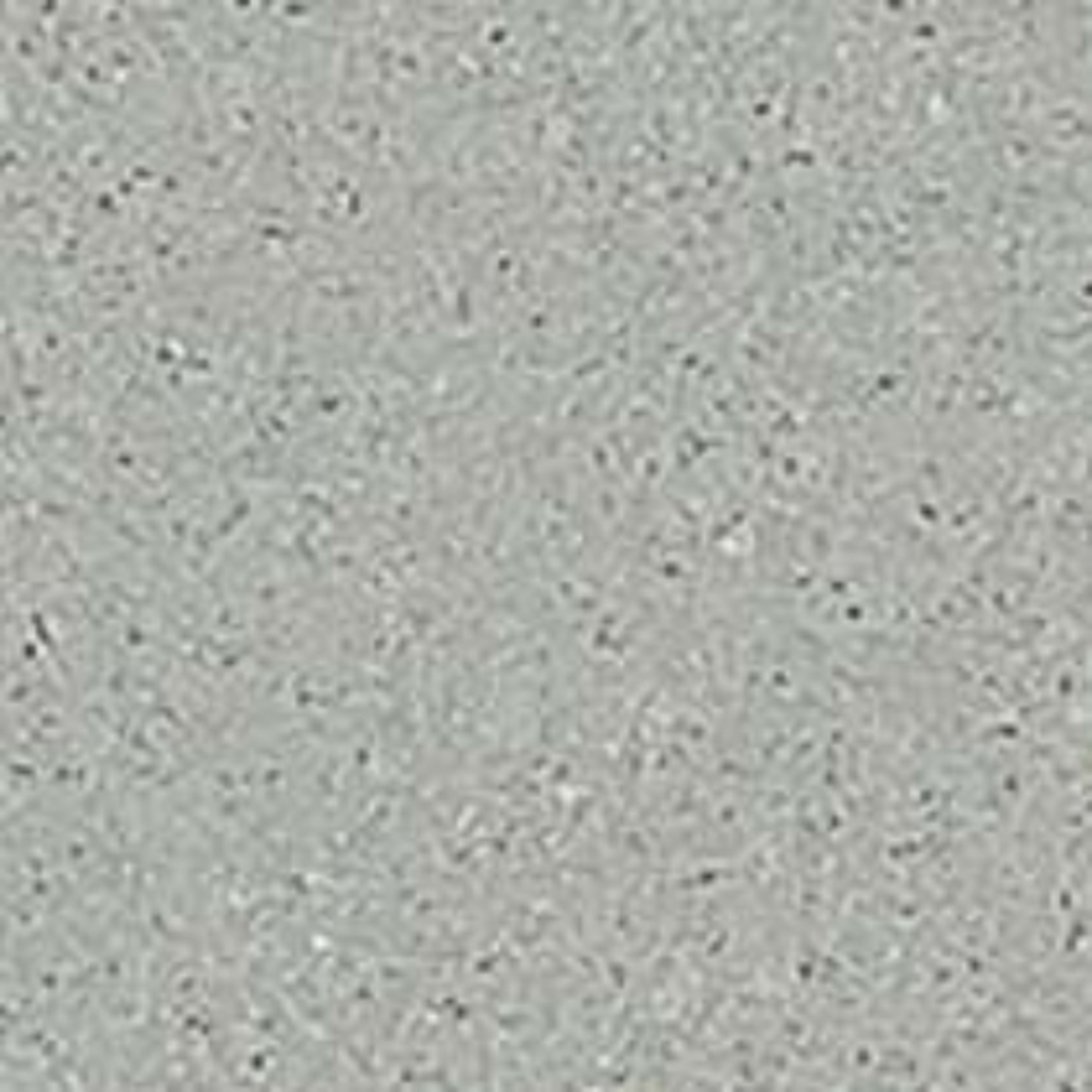 Solid Surface Collection in Brooklyn Concrete Solid Surface – DesignCo