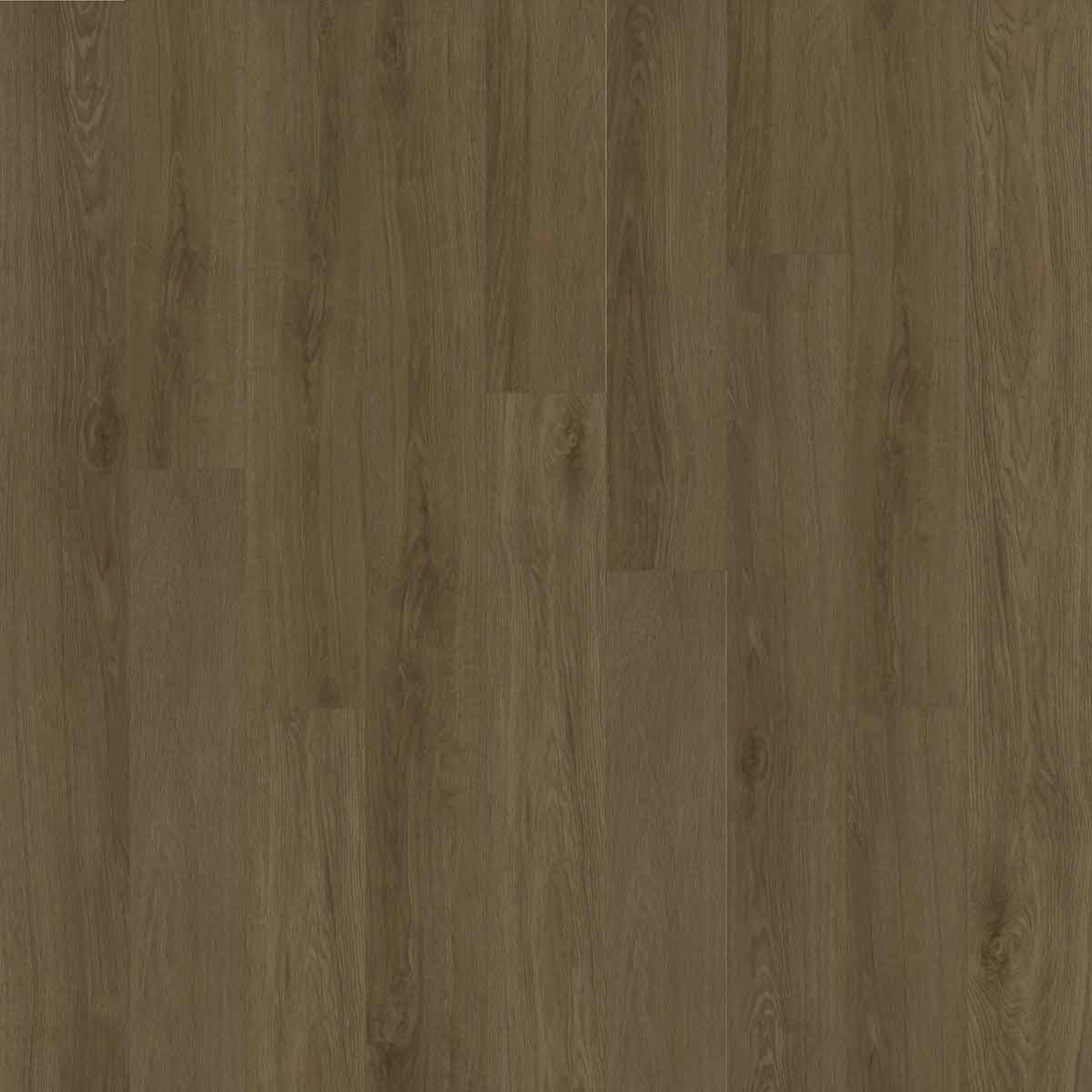 Reposado in Casa Luxury Vinyl – DesignCo