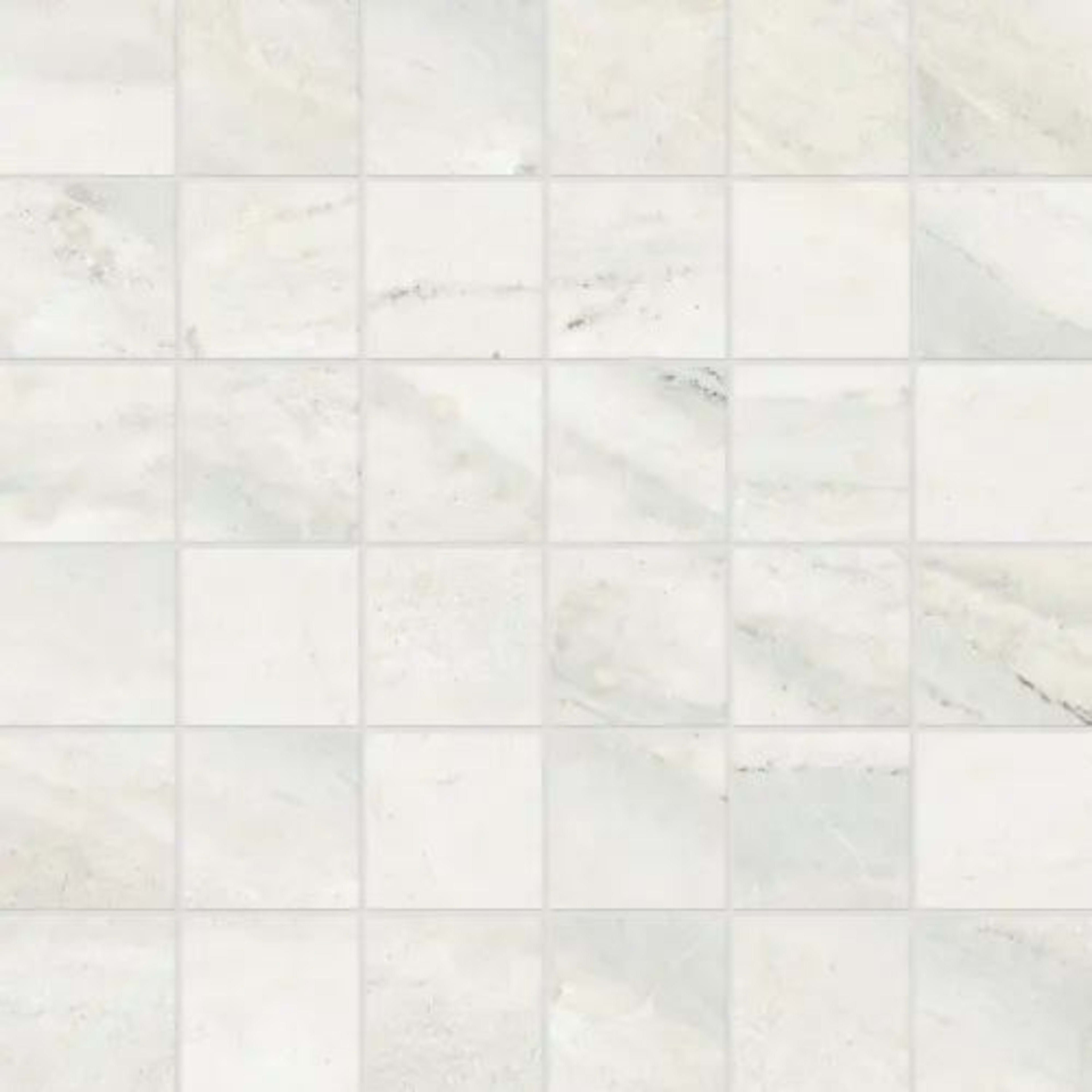 Evolution in Ice Tile – DesignCo