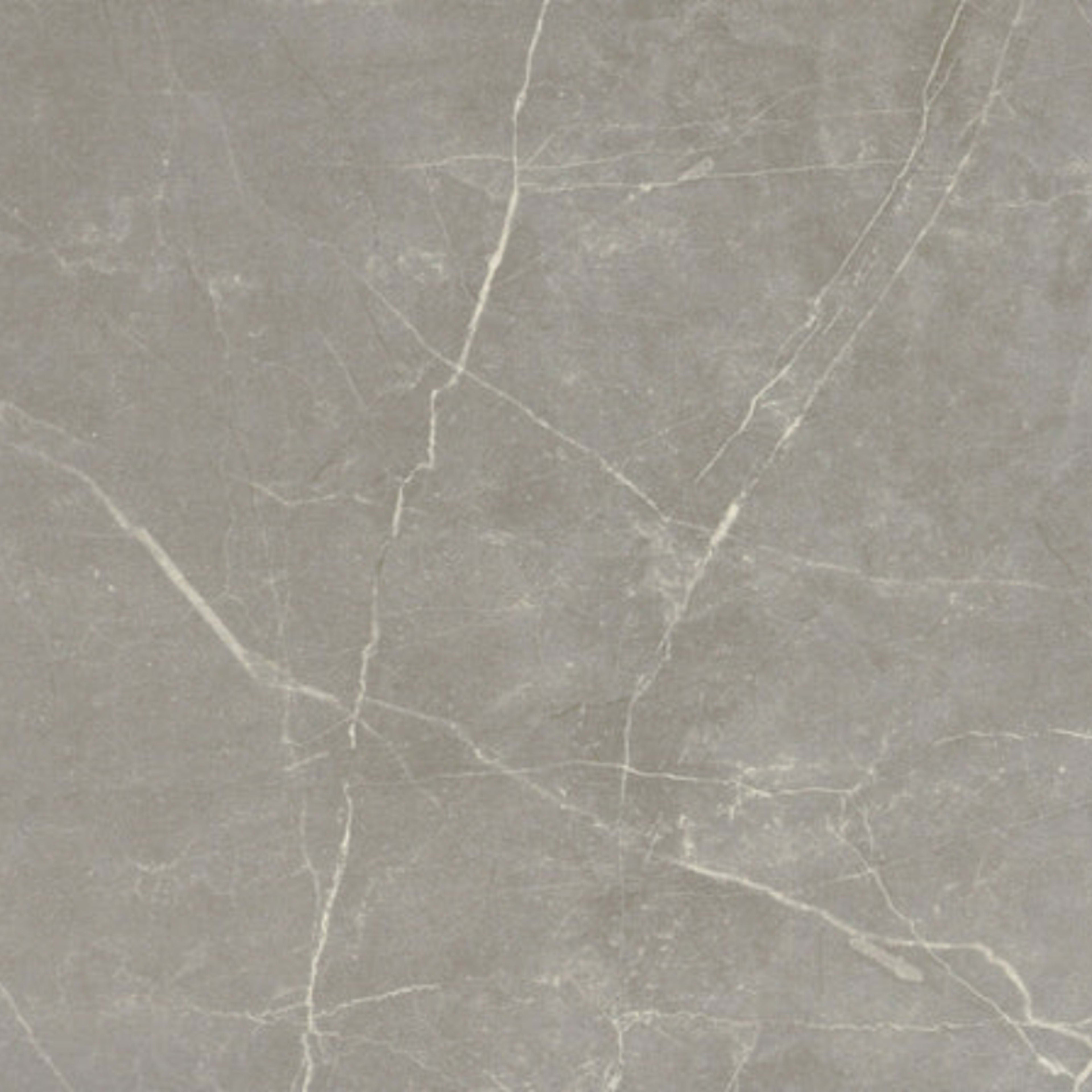 Sterlina II in Dove-24x24-Matte Tile – DesignCo