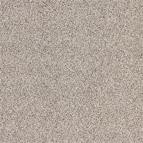Intrigue in Allure Carpet – DesignCo