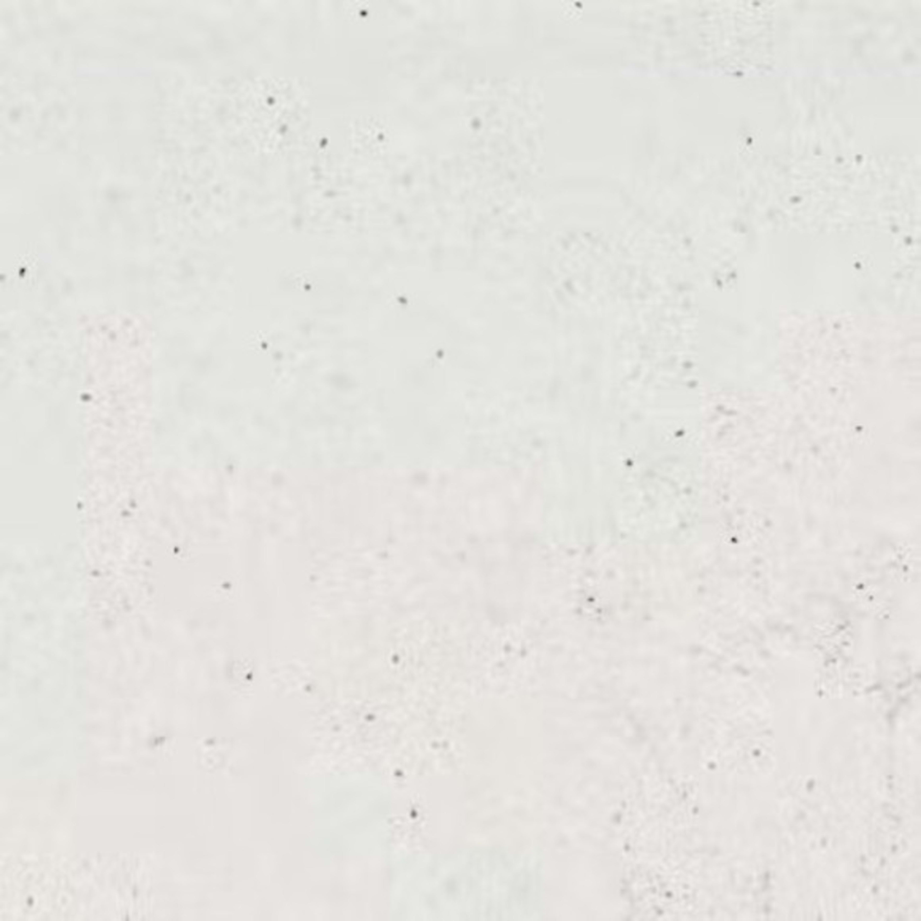 Silestone - Urban Crush in Lime Delight Solid Surface – DesignCo