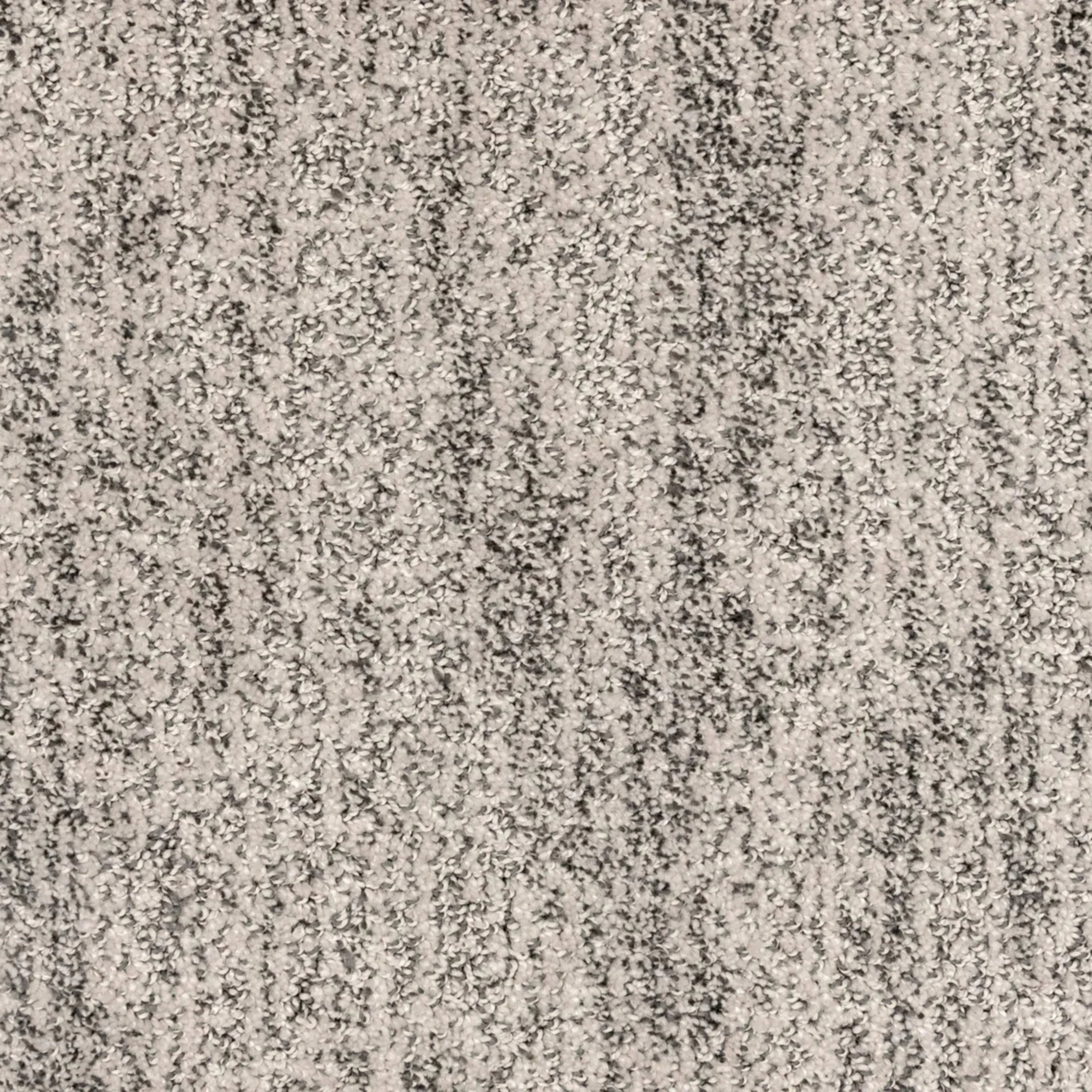 Lionel in Graphite Carpet – DesignCo