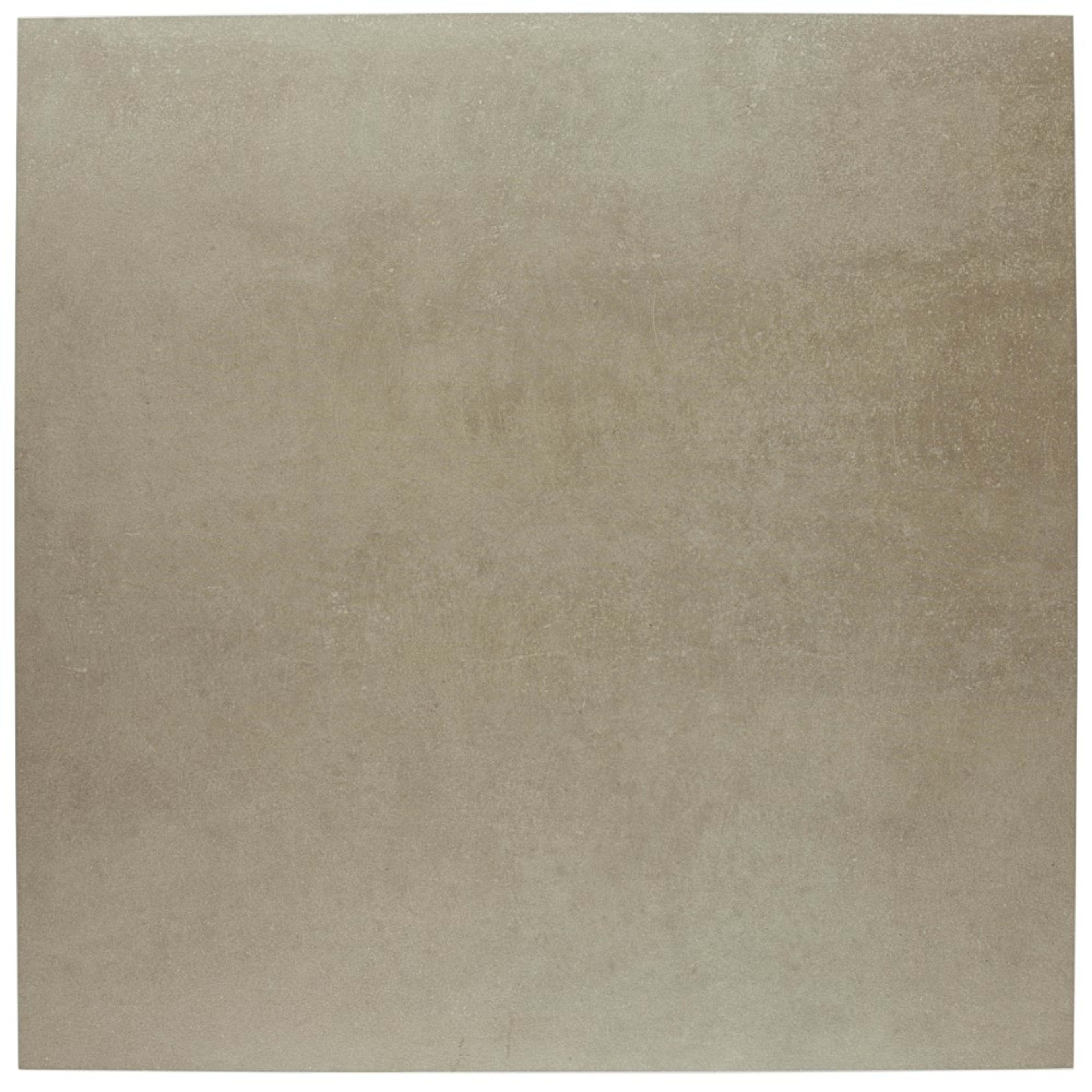 Notorious in Suspense 12"x24" Unpolished Tile – DesignCo