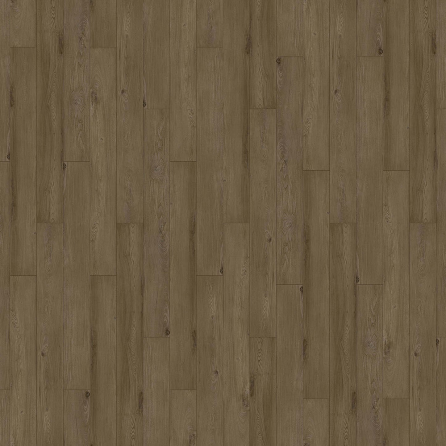 Innovious - Curio in Salem Elm Luxury Vinyl – DesignCo