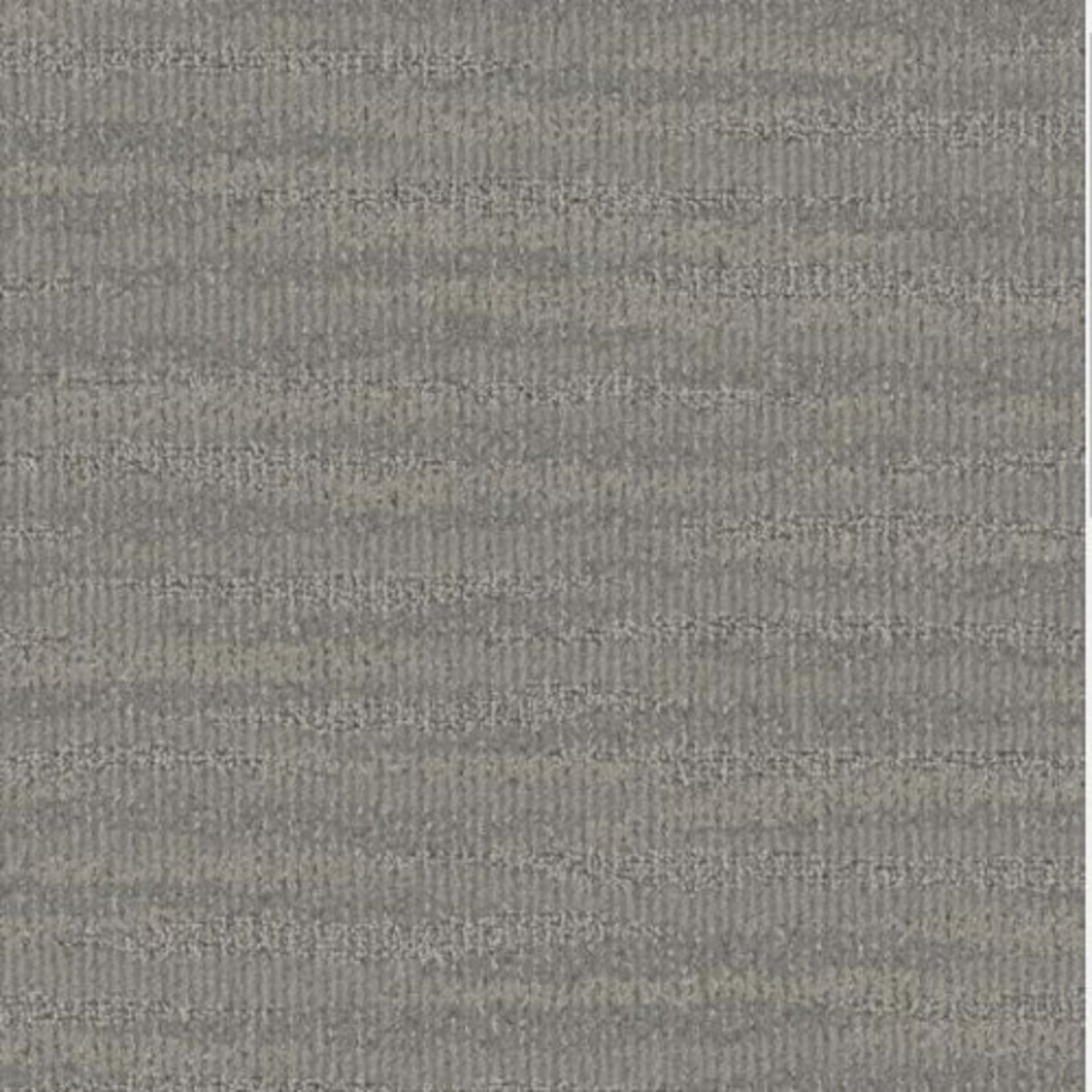 Sun And Sand in Parchment Carpet – DesignCo
